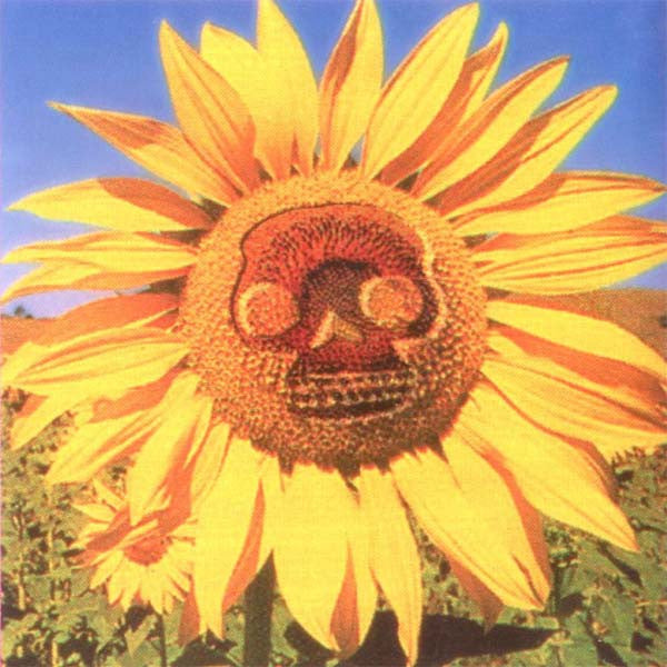 Buy Snog : Buy Me... I'll Change Your Life (CD, Album) Online for a ...