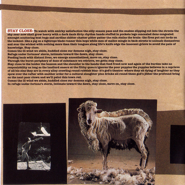 Buy Skunkhour : Feed (CD, Album) Online for a great price – Glitter Records