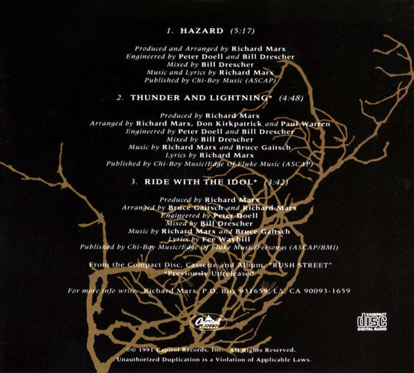 Buy Richard Marx : Hazard (CD, Maxi) Online for a great price – Glitter ...